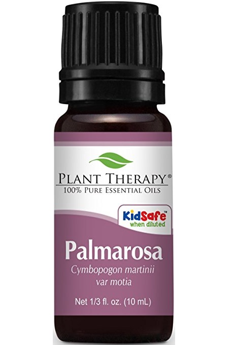 The 6 best natural remedies for scabies treatment | Scabies home remedies