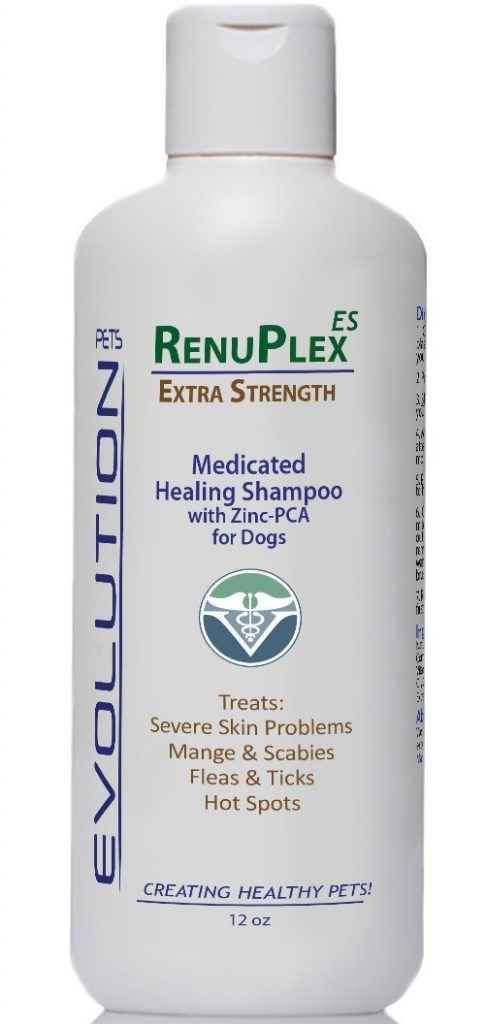 How To Treat Scabies In Dogs And Animals | Scabies home remedies