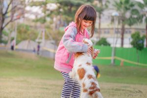 How To Treat Scabies In Dogs And Animals | Scabies home remedies